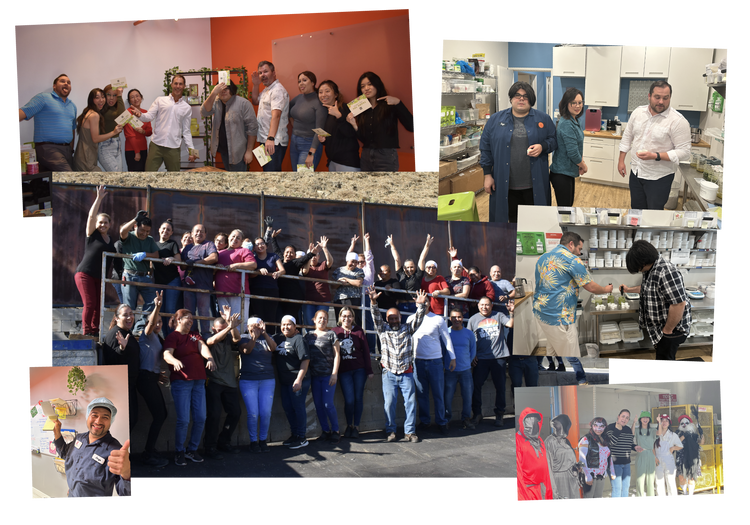 About Us – 360 Labs